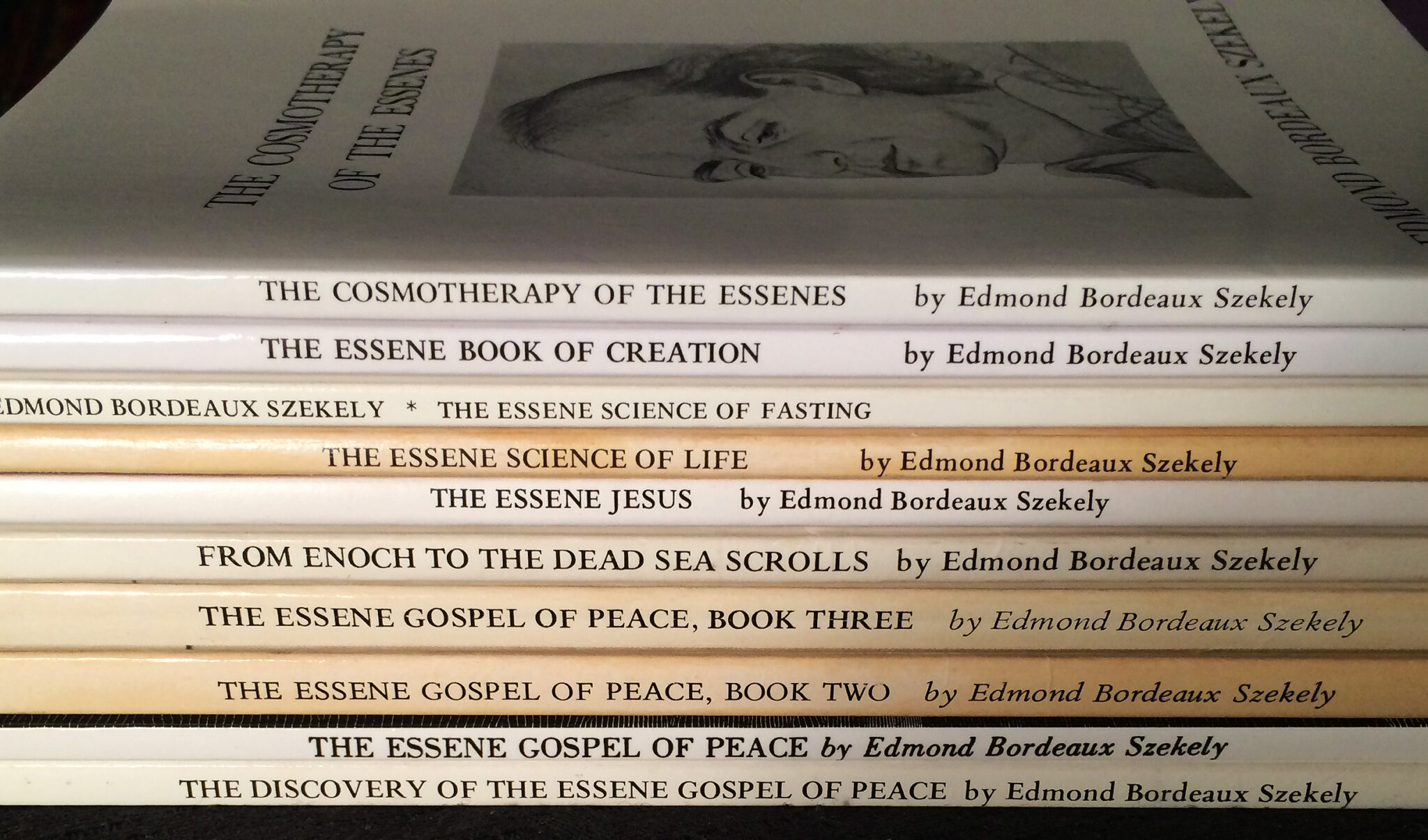 RWB Book List - Robert Wesley Branch